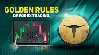 Learn Trading | Trillium Financial Broker